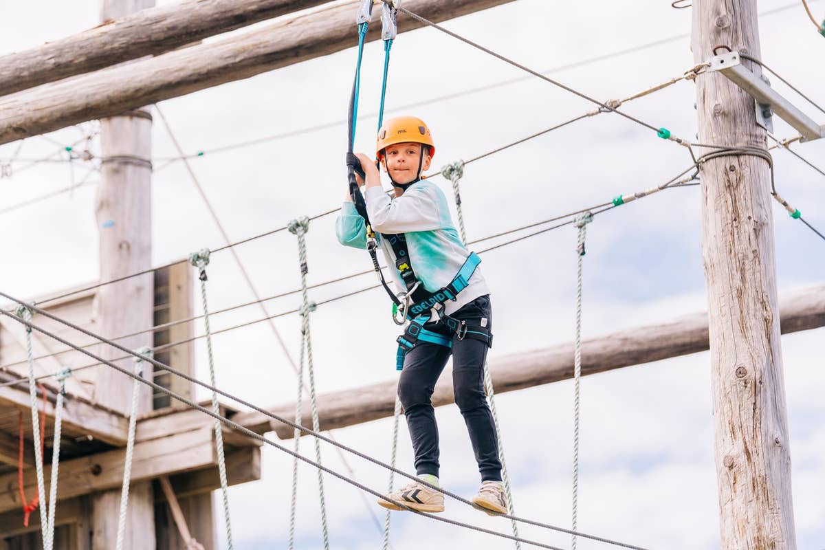 Family-Friendly 2-Hour Climbing Excursion at Adrenalin Adventure Park ...