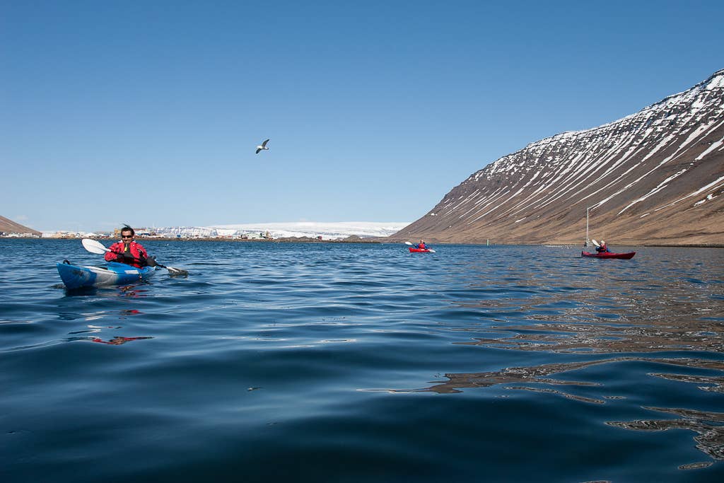 Kayaking Tour in the Westfjords from Isafjordur | Guide to Iceland