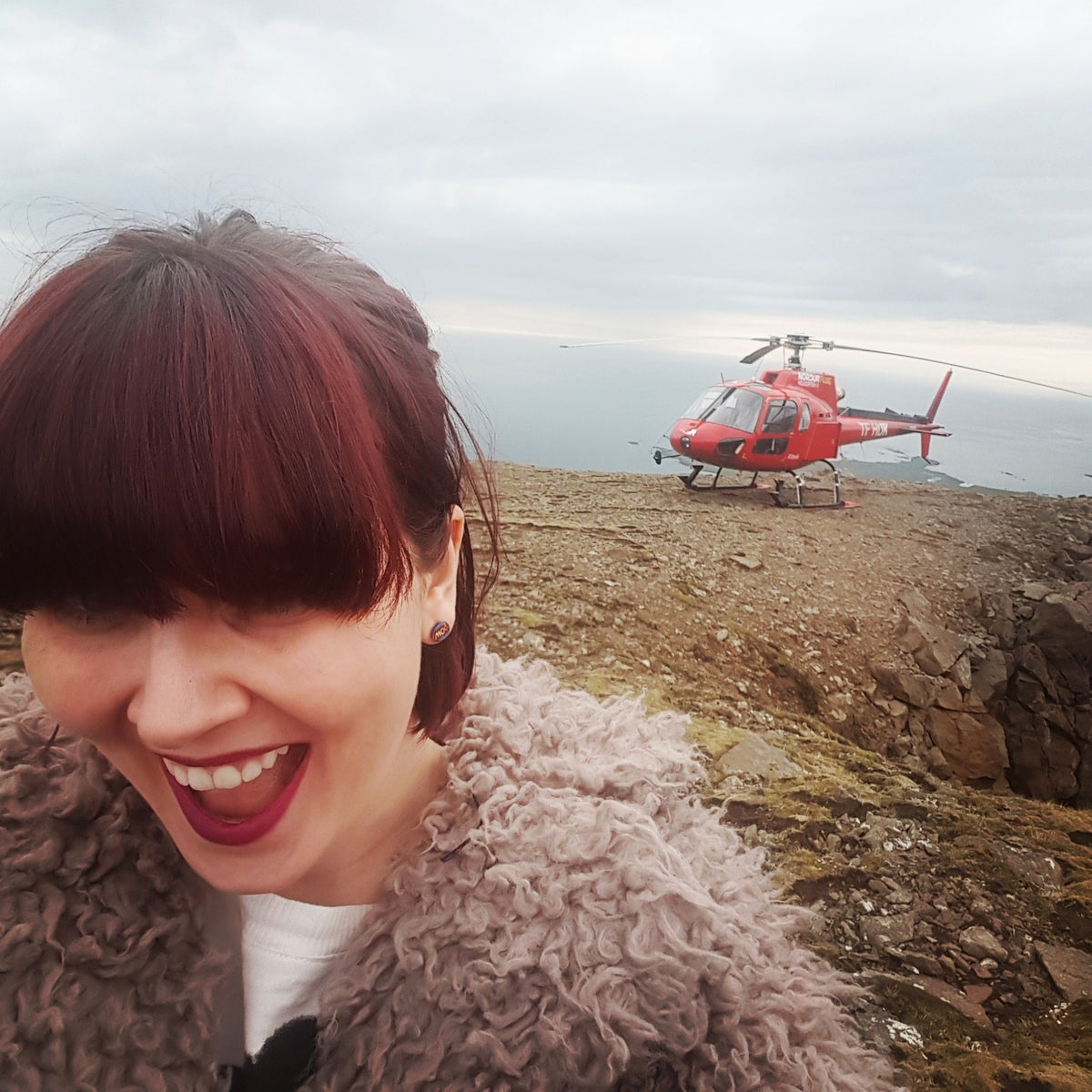 Scenic Helicopter Tour for Chickens | Guide to Iceland