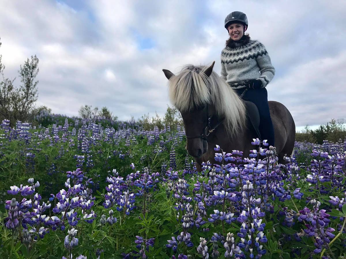 Volcano Horse Riding Tour in the Morning with Free Optional Pickup from ...