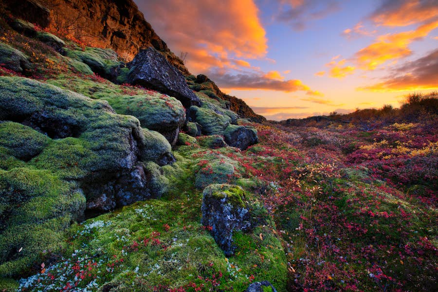 Iceland in September | All You Need To Know | Guide to Iceland