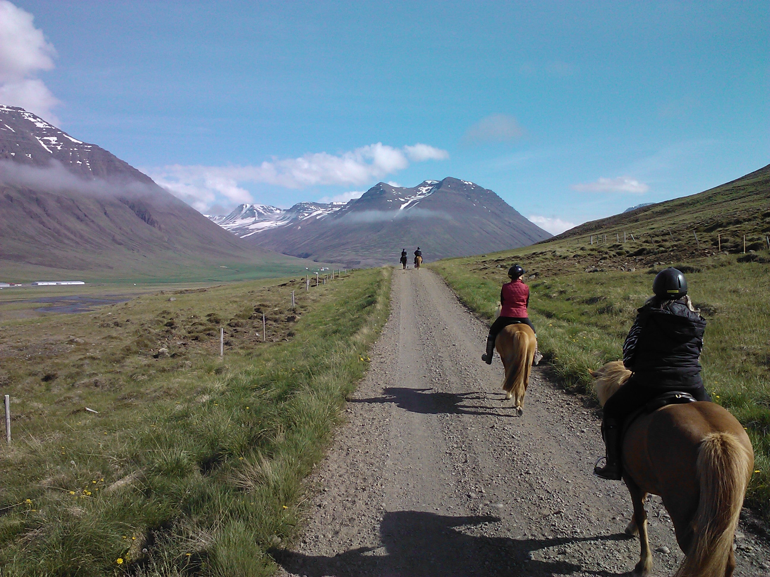 Exciting 1.5-Hour Horse Riding Tour of Borgarnes | Guide to Iceland