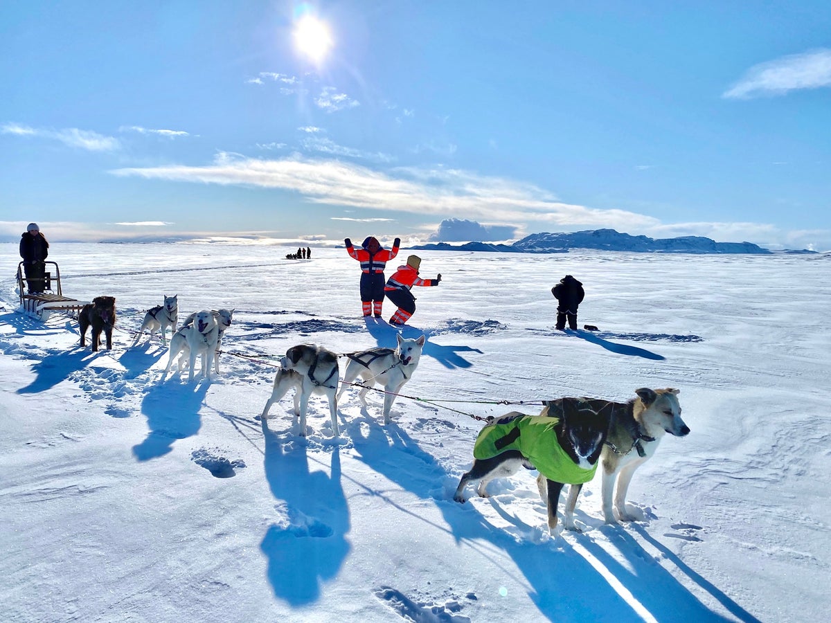 Winter Dog Sledding Tour with Optional Transfers from Reykjavik | Guide ...