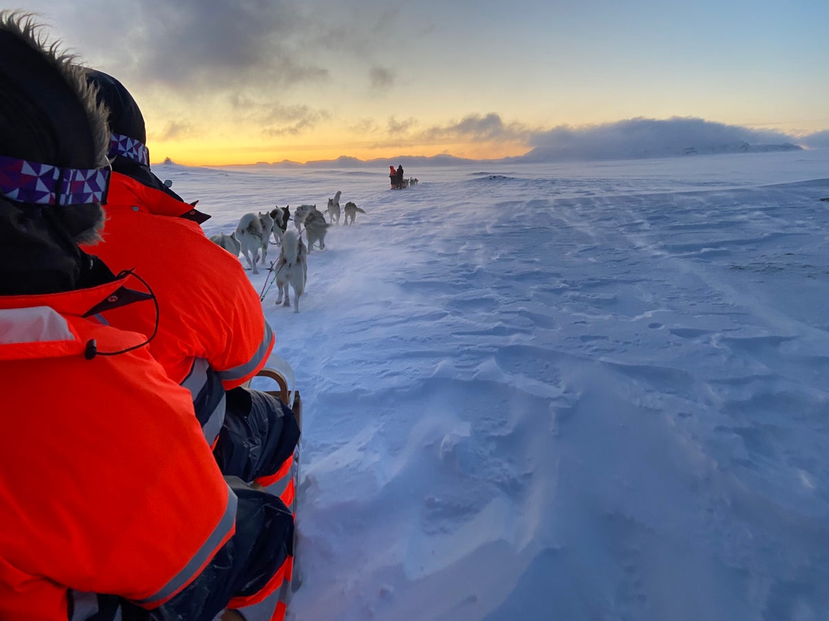 Winter Dog Sledding Tour with Optional Transfers from Reykjavik | Guide ...