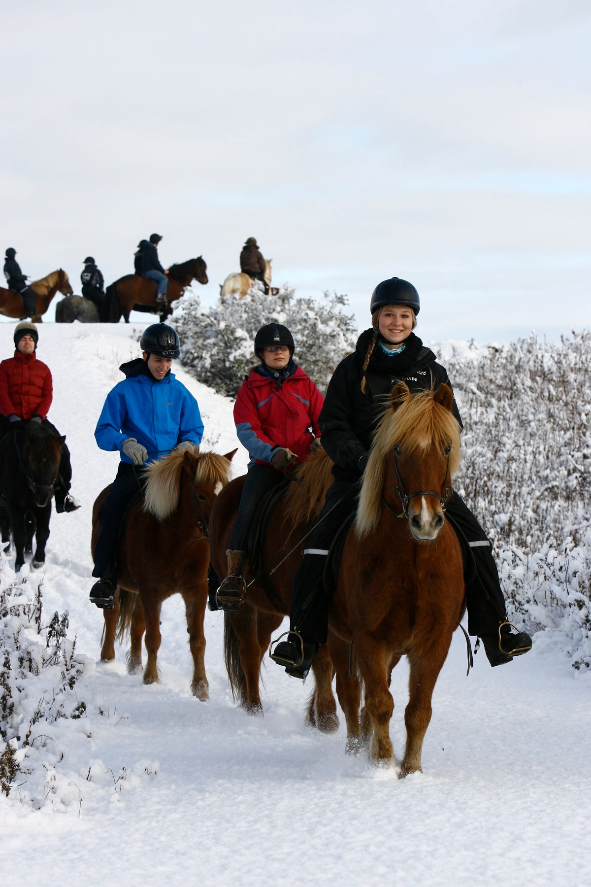 Scenic 2,5-3 Hour Viking Horseback Tour with Optional Transfer from ...