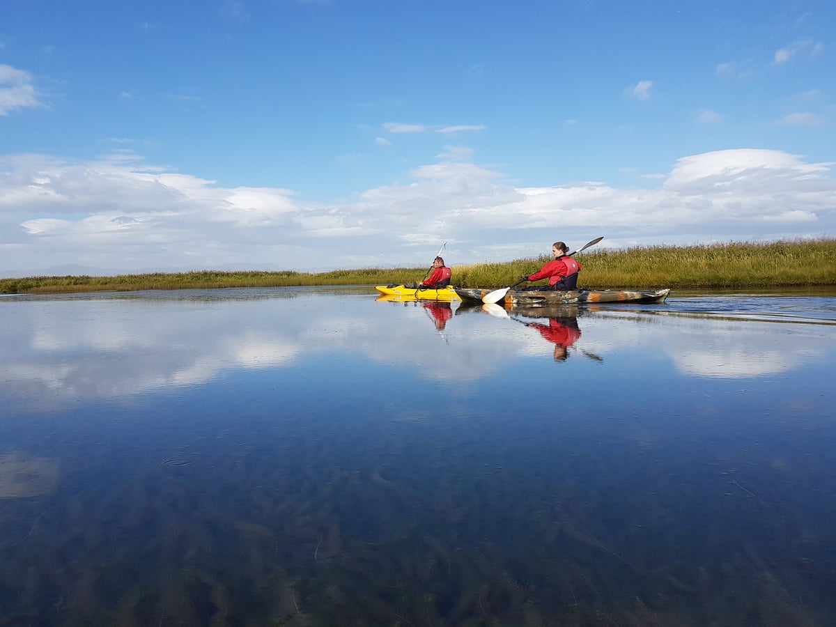 Family-Friendly Kayaking Tour in Stokkseyri in South Iceland ...