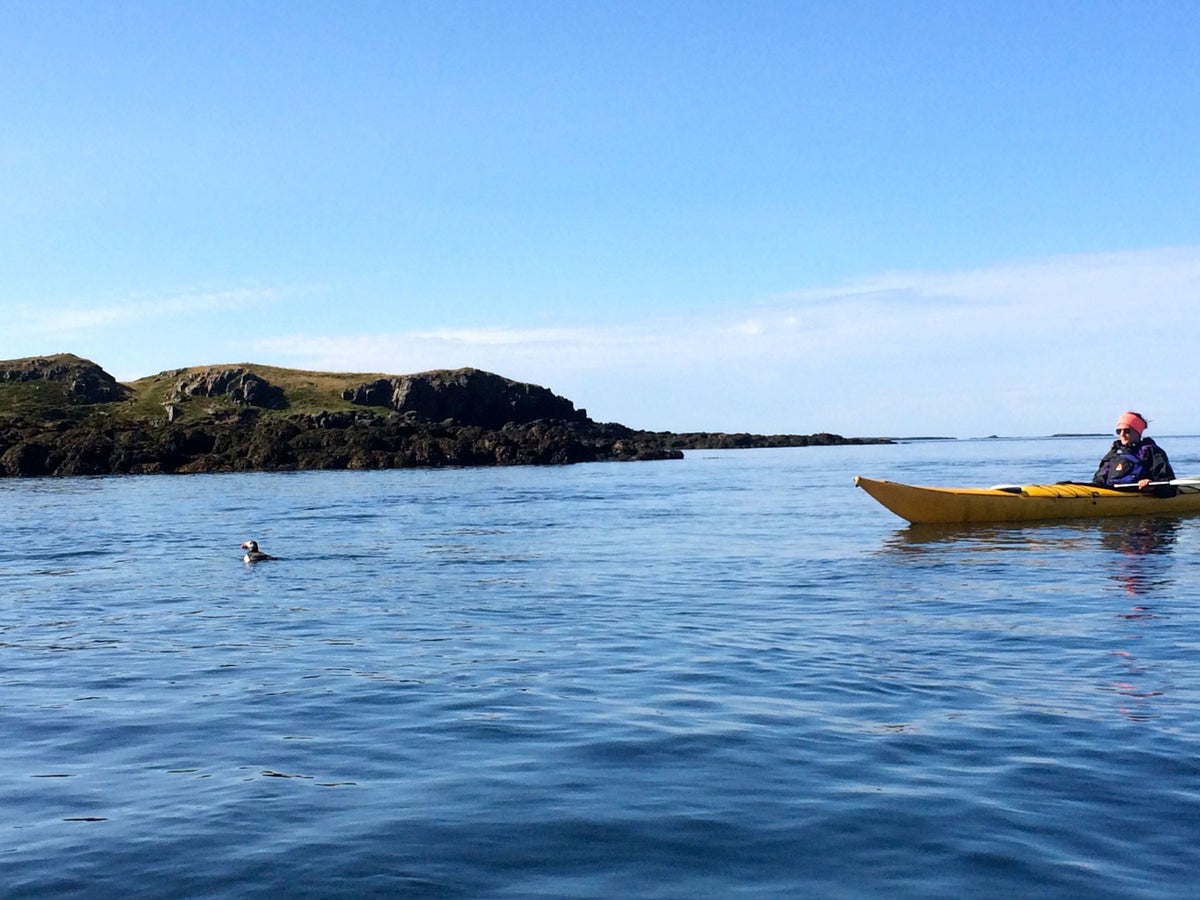Kontiki Kayaking | Guide to Iceland