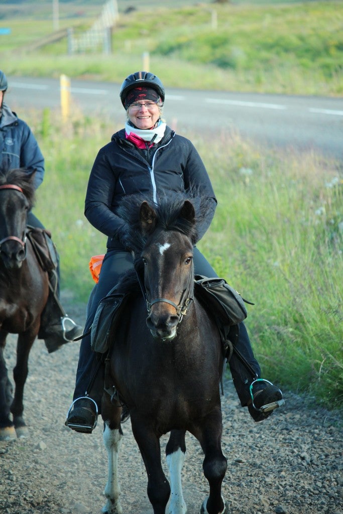Small-Group 3-Hour Intermediate-Level Horse Riding Tour | Guide to Iceland