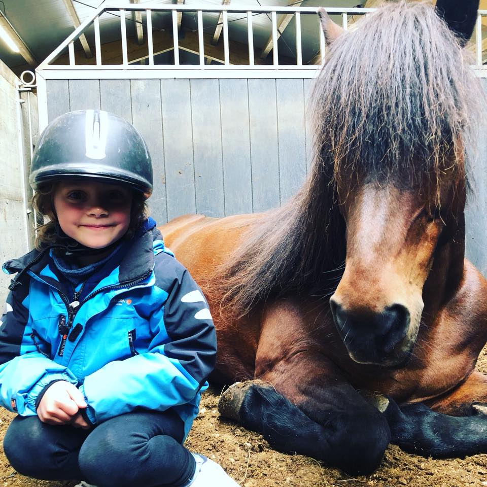 Fun 30-Minute Horseback Riding Tour in Vik | Fun Horseback Riding Tour ...