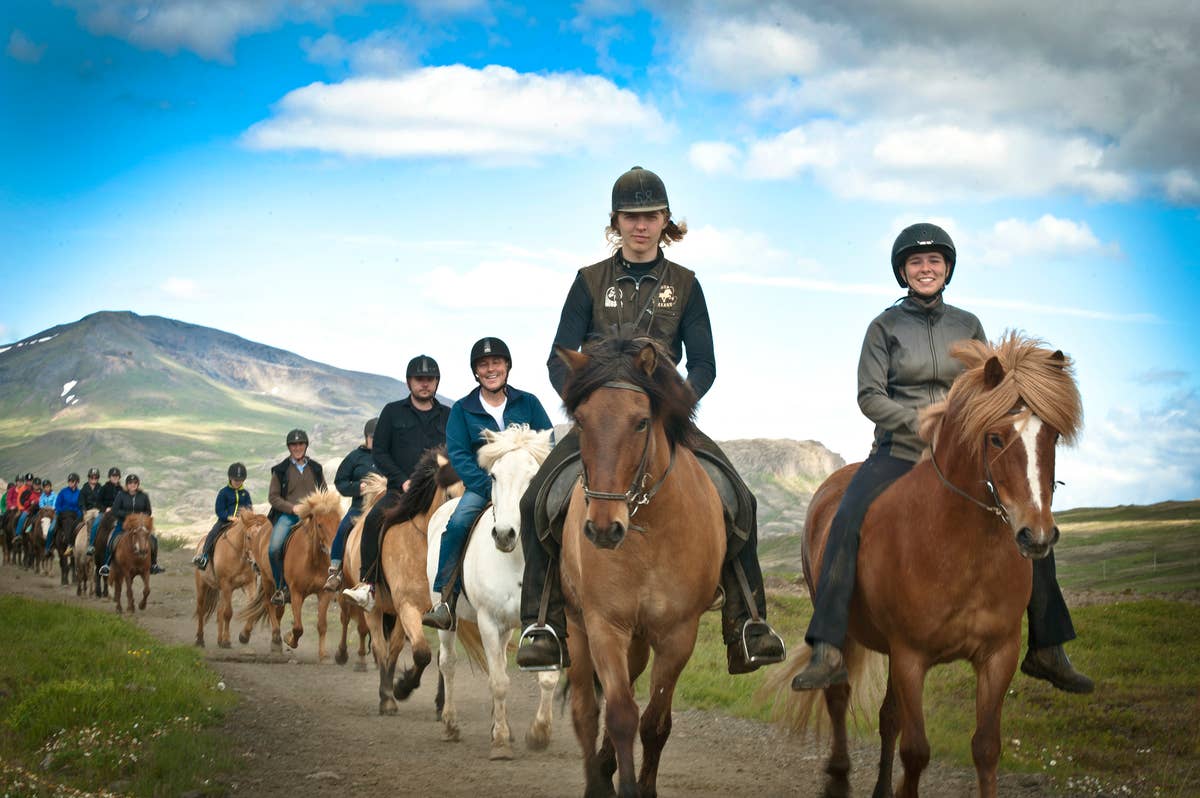 Charming Horseback Ride through Mosfellsbaer with Optional Pick-up from ...