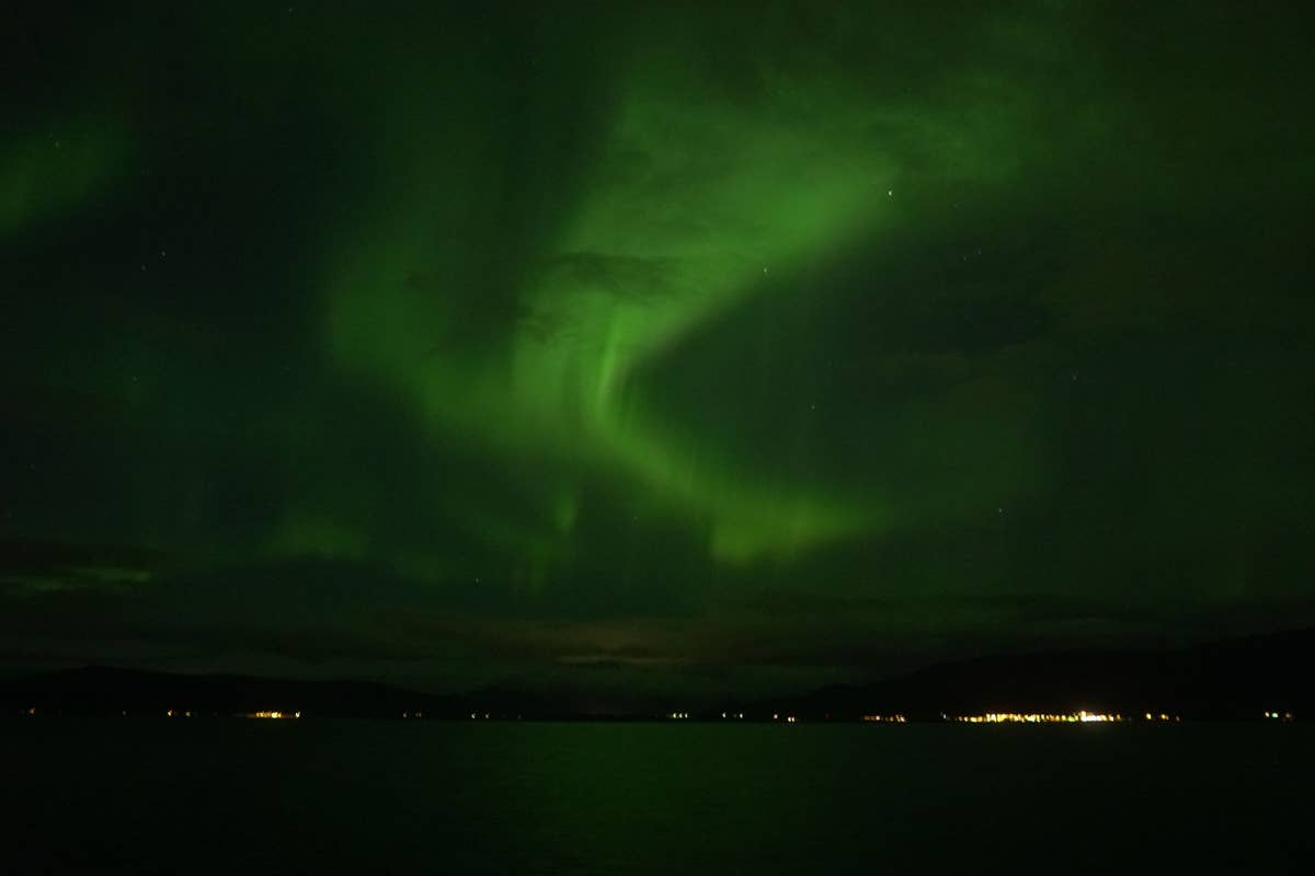 6-Hour Whale Watching & Northern Lights Boat Tour Combo with Transfer ...