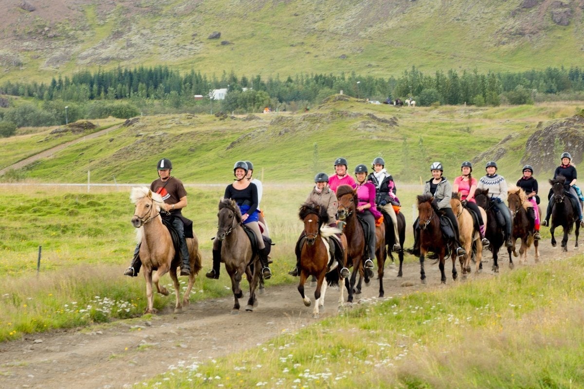 Icelandic Horseback Riding & Heritage Tour from Reykjavik | 5-Hour ...