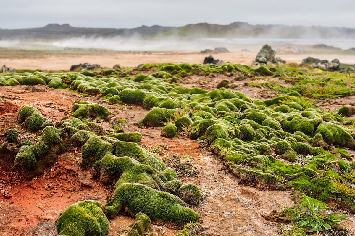 Islannin Sininen laguuni – täydellinen opas | Guide to Iceland