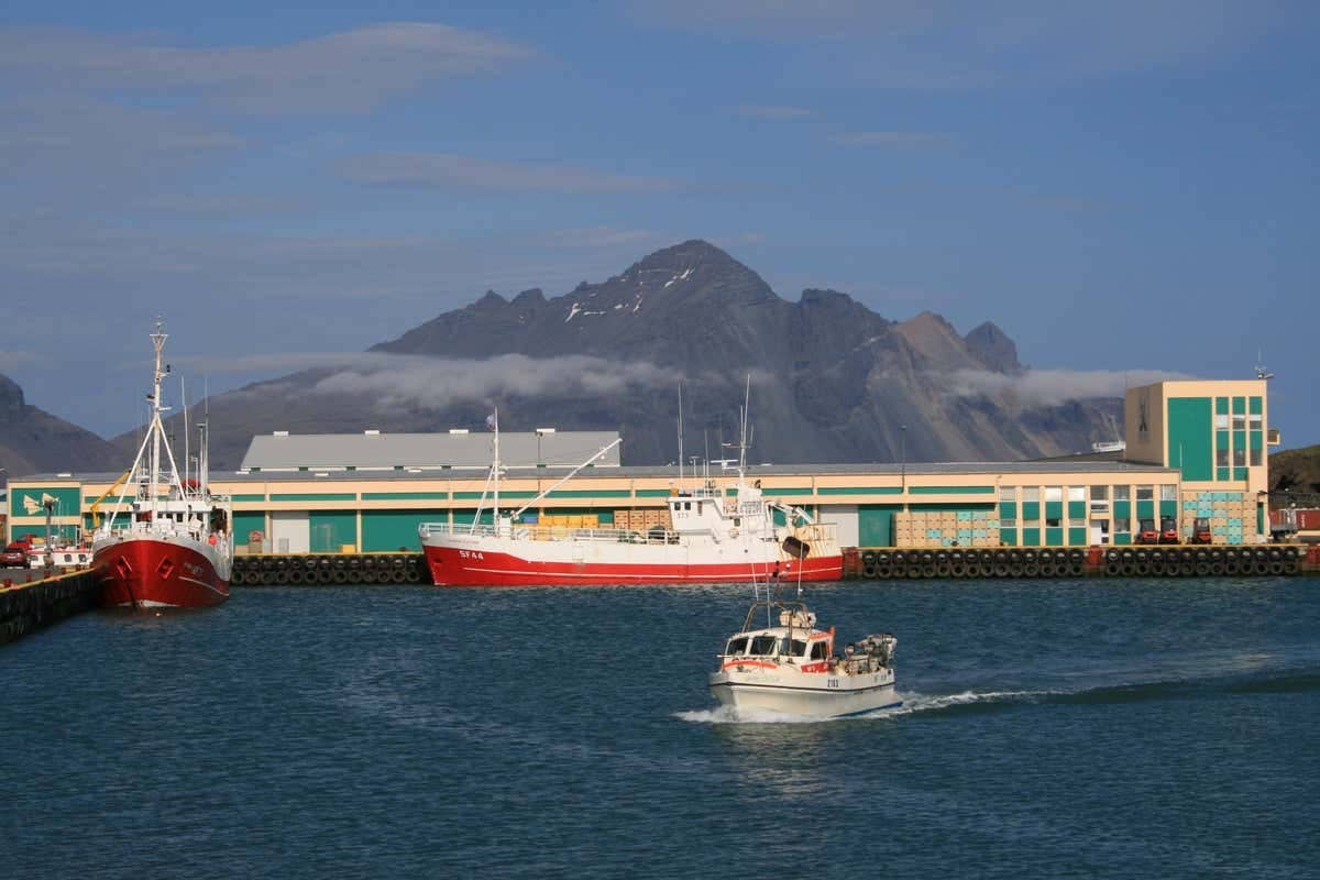 Hofn Town in Southeast Iceland | Guide to Iceland