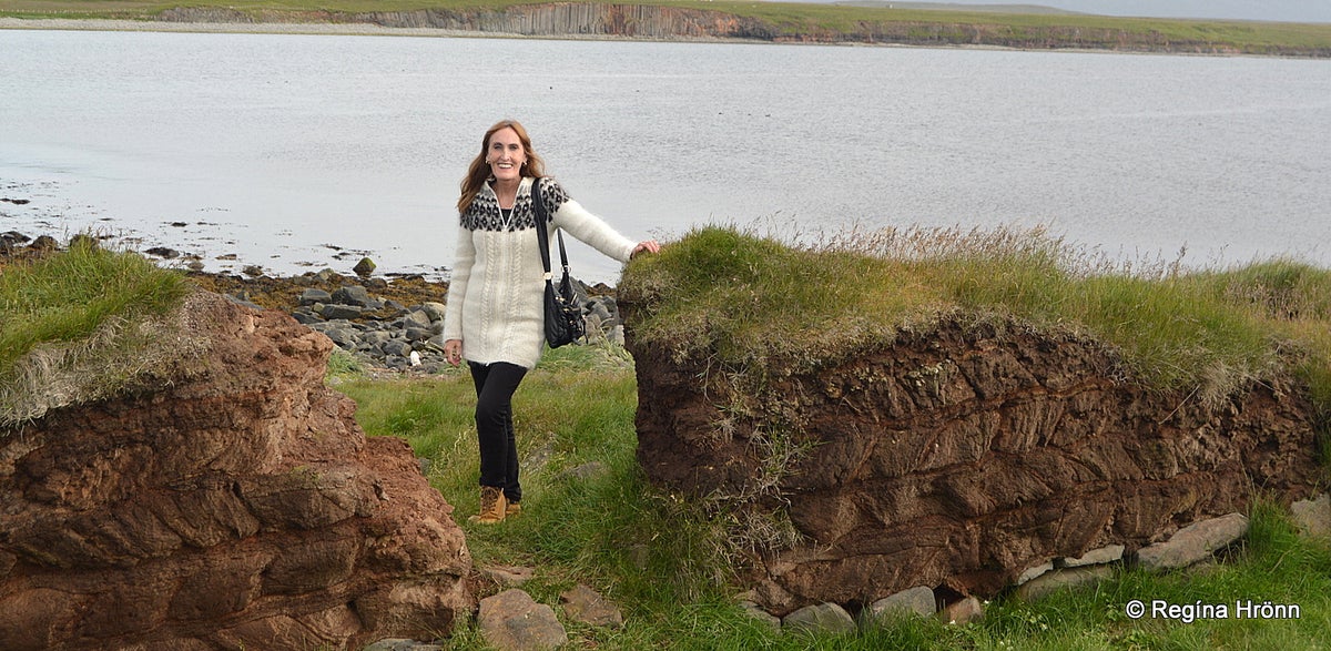 Kálfshamarsvík - extraordinary Basalt Columns at Skagi in North Iceland ...