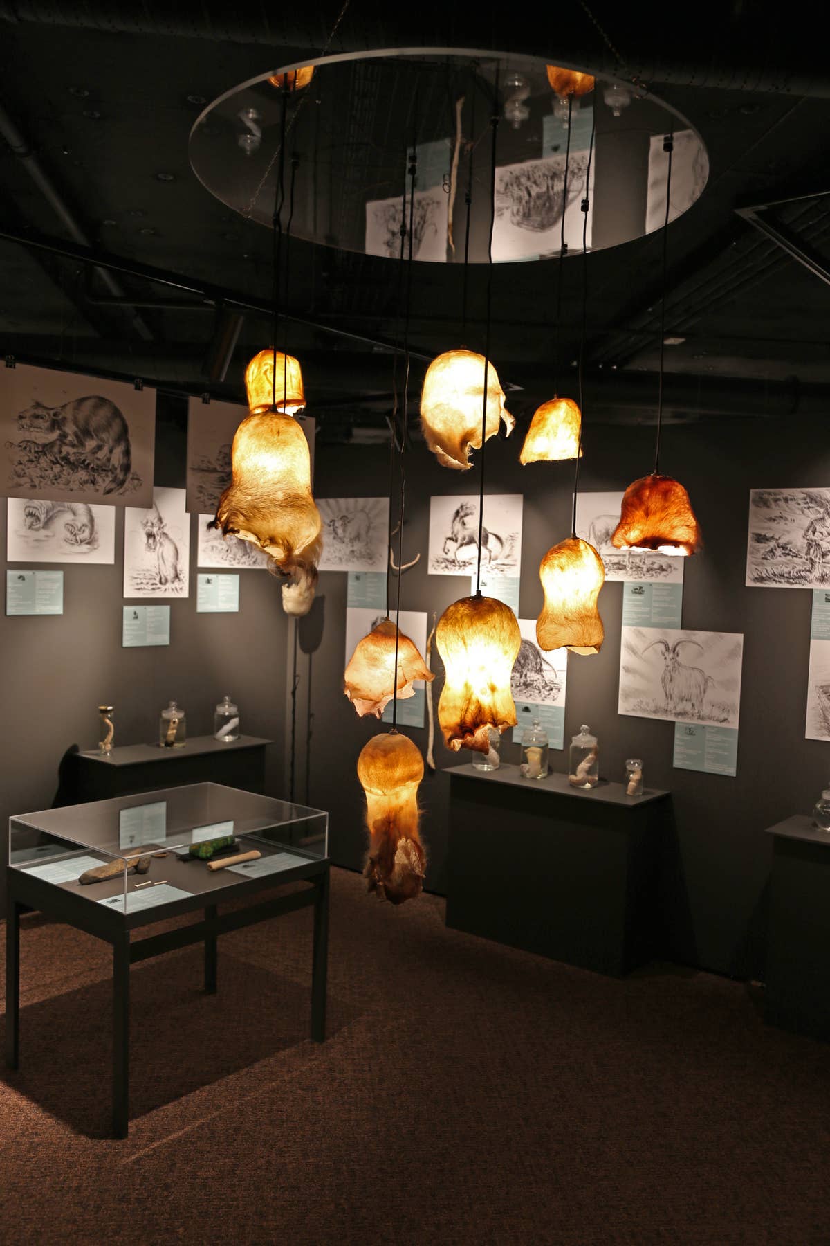 Tickets to the Penis Museum | Guide to Iceland