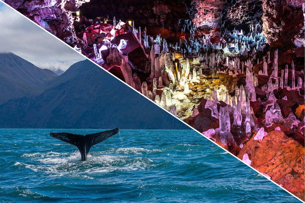 Exhilarating 7-Hour Lava Caving and Whale-Watching Combo Tour | Guide ...