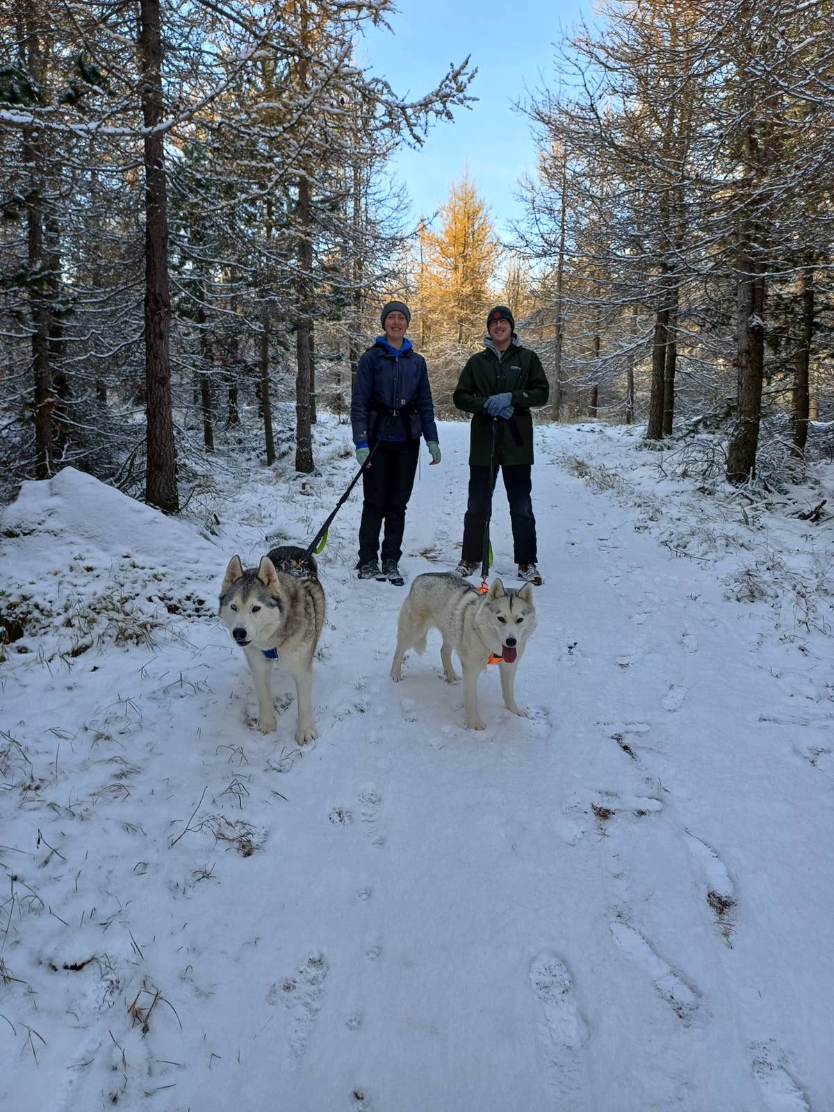 Private Husky Dog Hiking Experience with Optional Pick-up from Akureyri ...