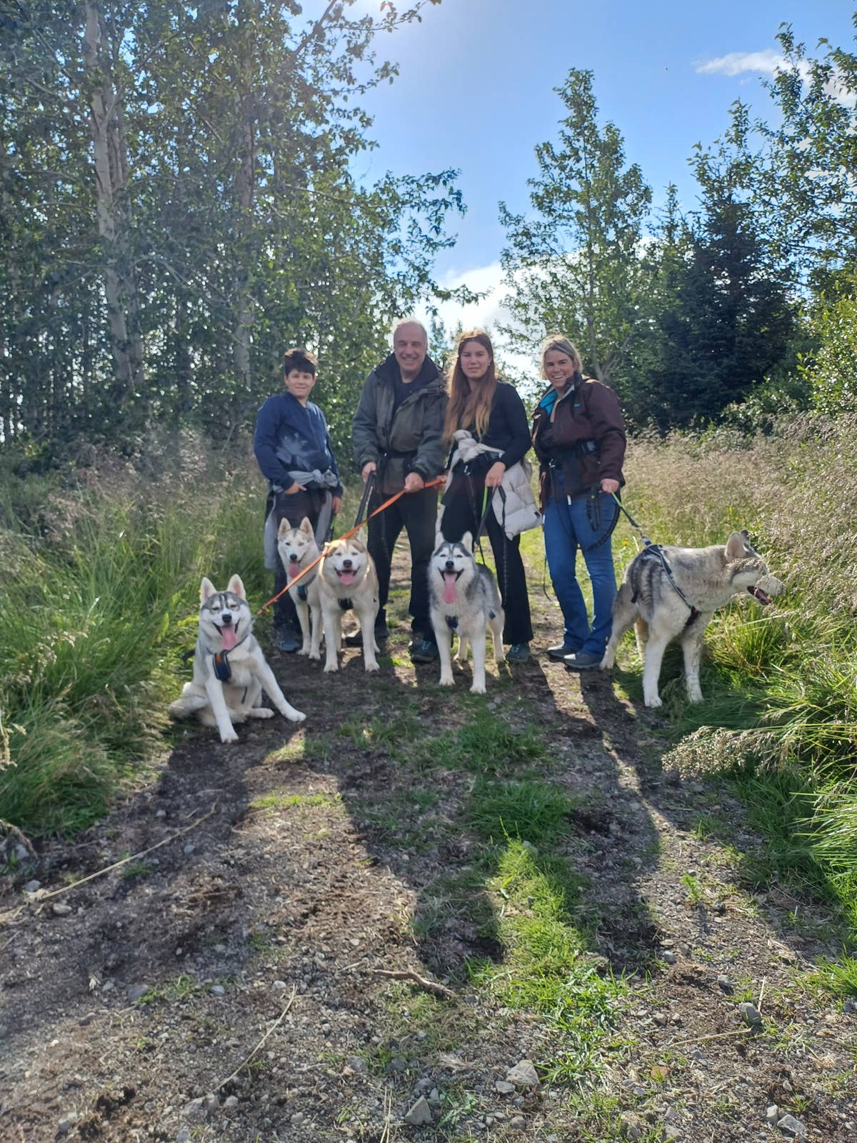 Private Husky Dog Hiking Experience with Optional Pick-up from Akureyri ...