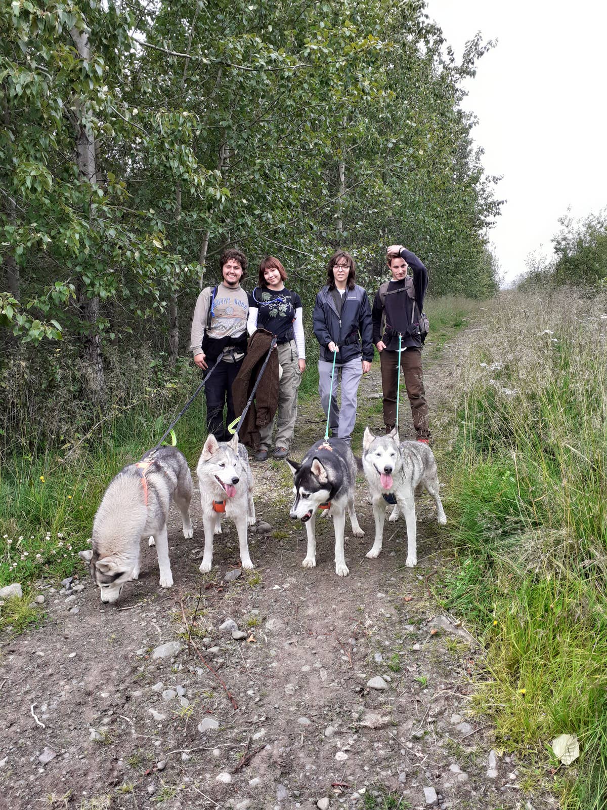 Private Husky Dog Hiking Experience with Optional Pick-up from Akureyri ...