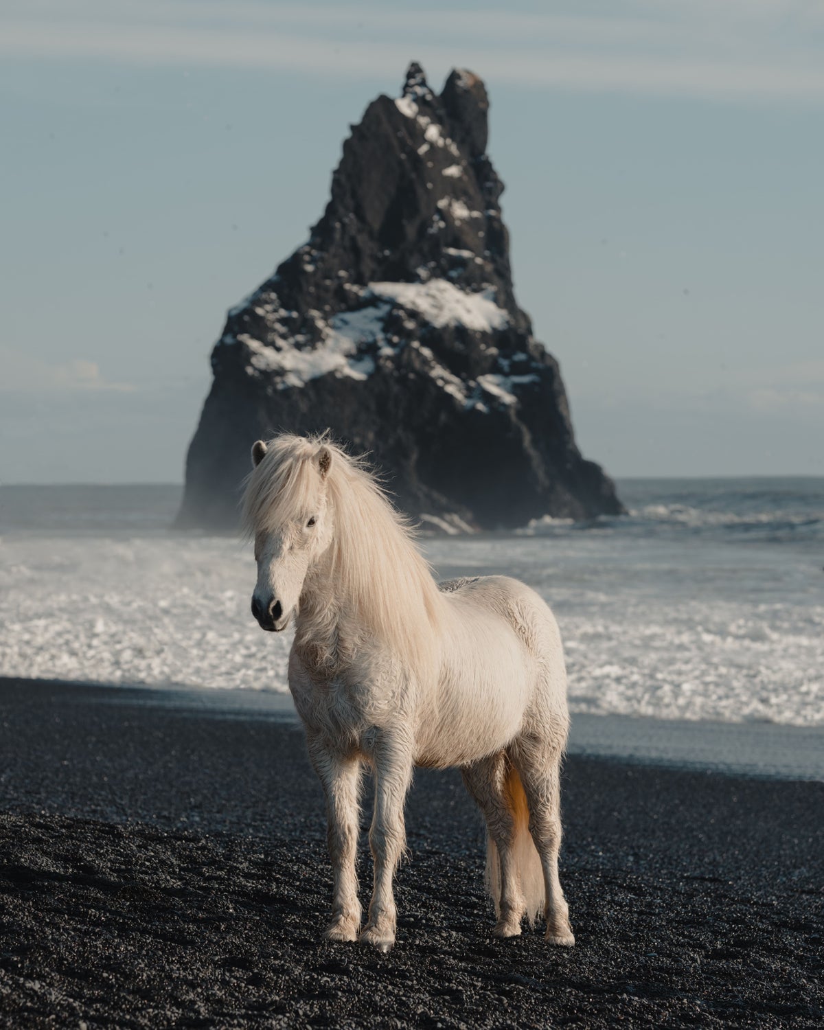 Horse Riding Tour on the Black Sand Beach from Vik | Guide to Iceland