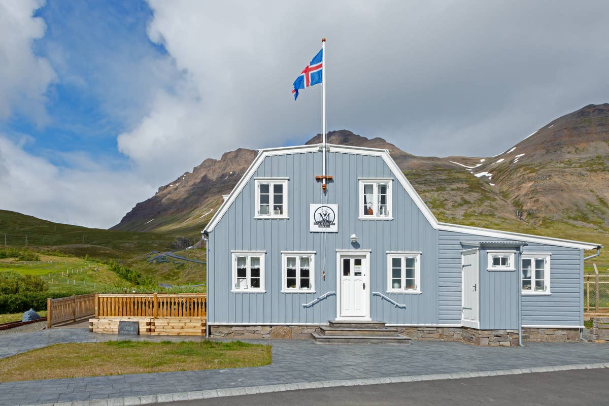 Sudavik Arctic Fox Center Travel Guide | Guide to Iceland