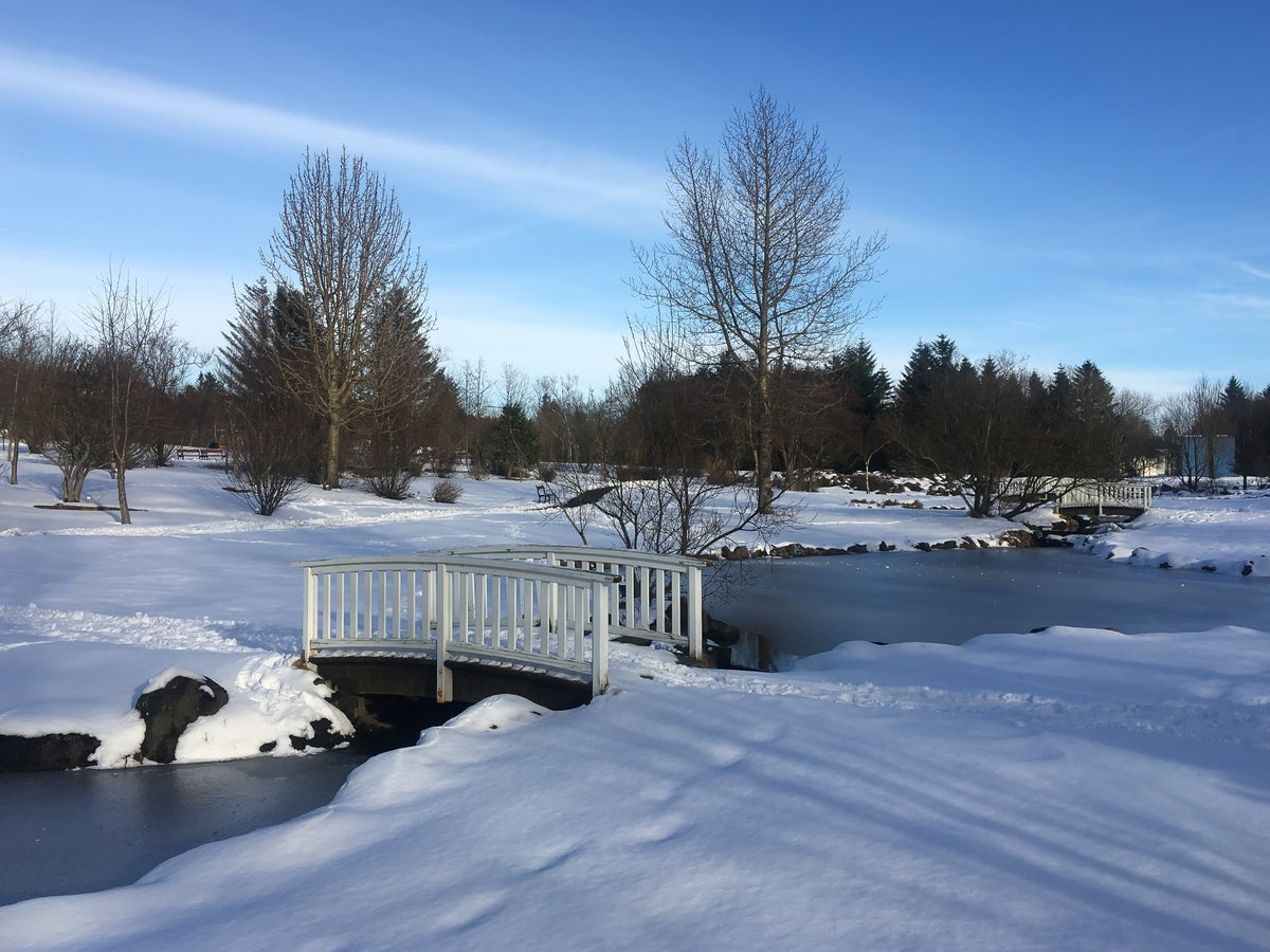 3日間の冬季セルフドライブツアー・氷の洞窟も | Guide to Iceland