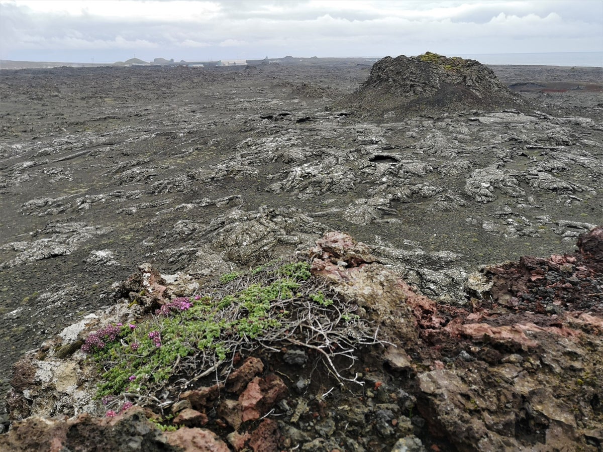 Stampar Crater Row Travel Guide | Guide to Iceland