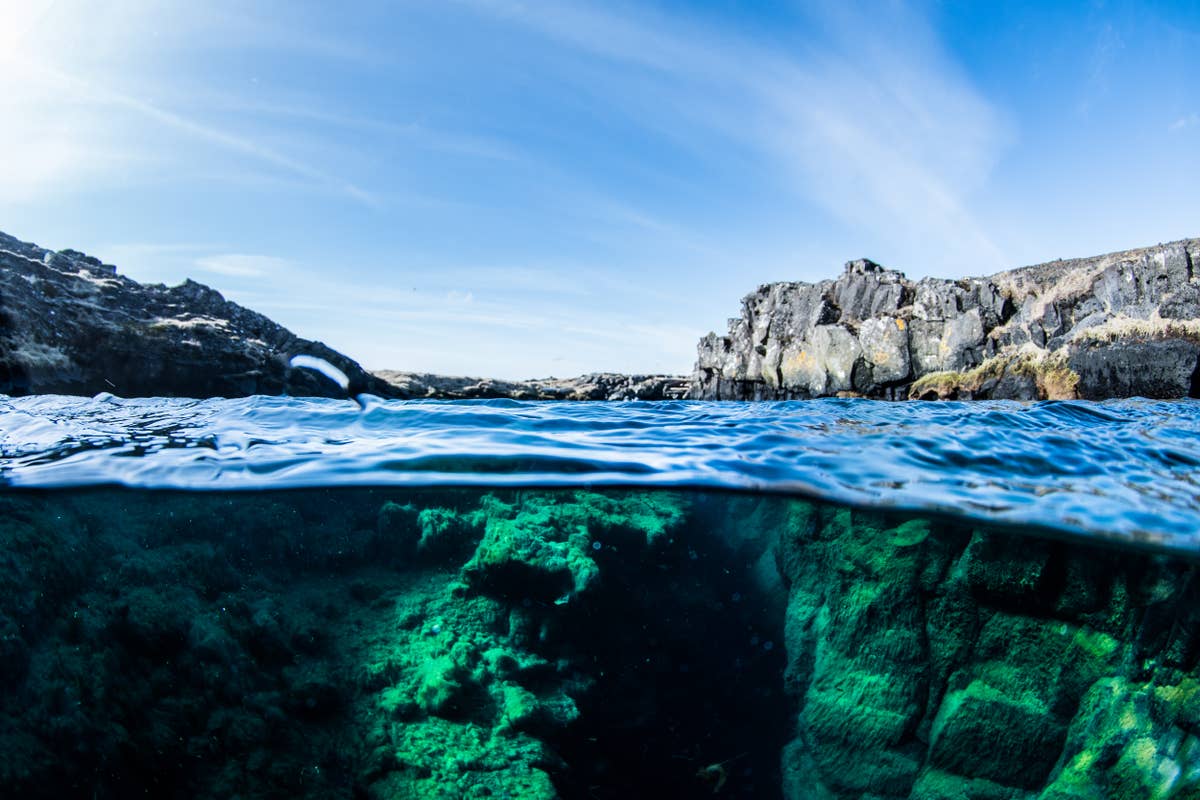 Ocean and Lava Fissure Diving Combo Tour in Reykjanes from Reykjavik ...