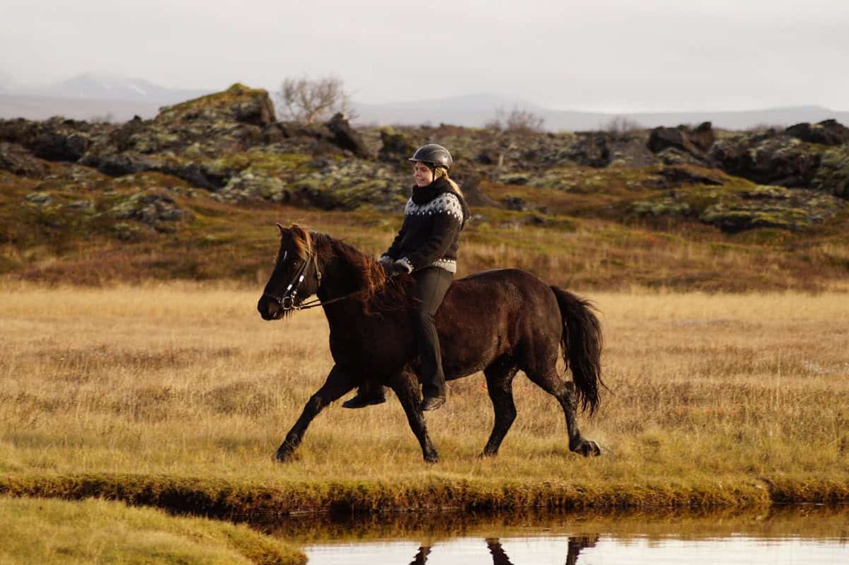 Small-Group Husavik Horse Riding Tour of Iceland’s Diverse Landscapes ...