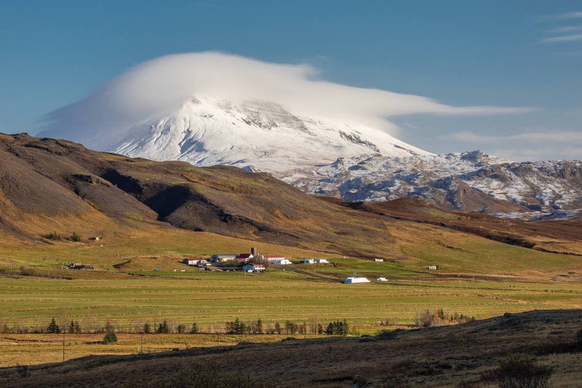 Icelandic Lopi Wool Factory Tour in Mosfellsbaer near Reykjavik | Guide ...